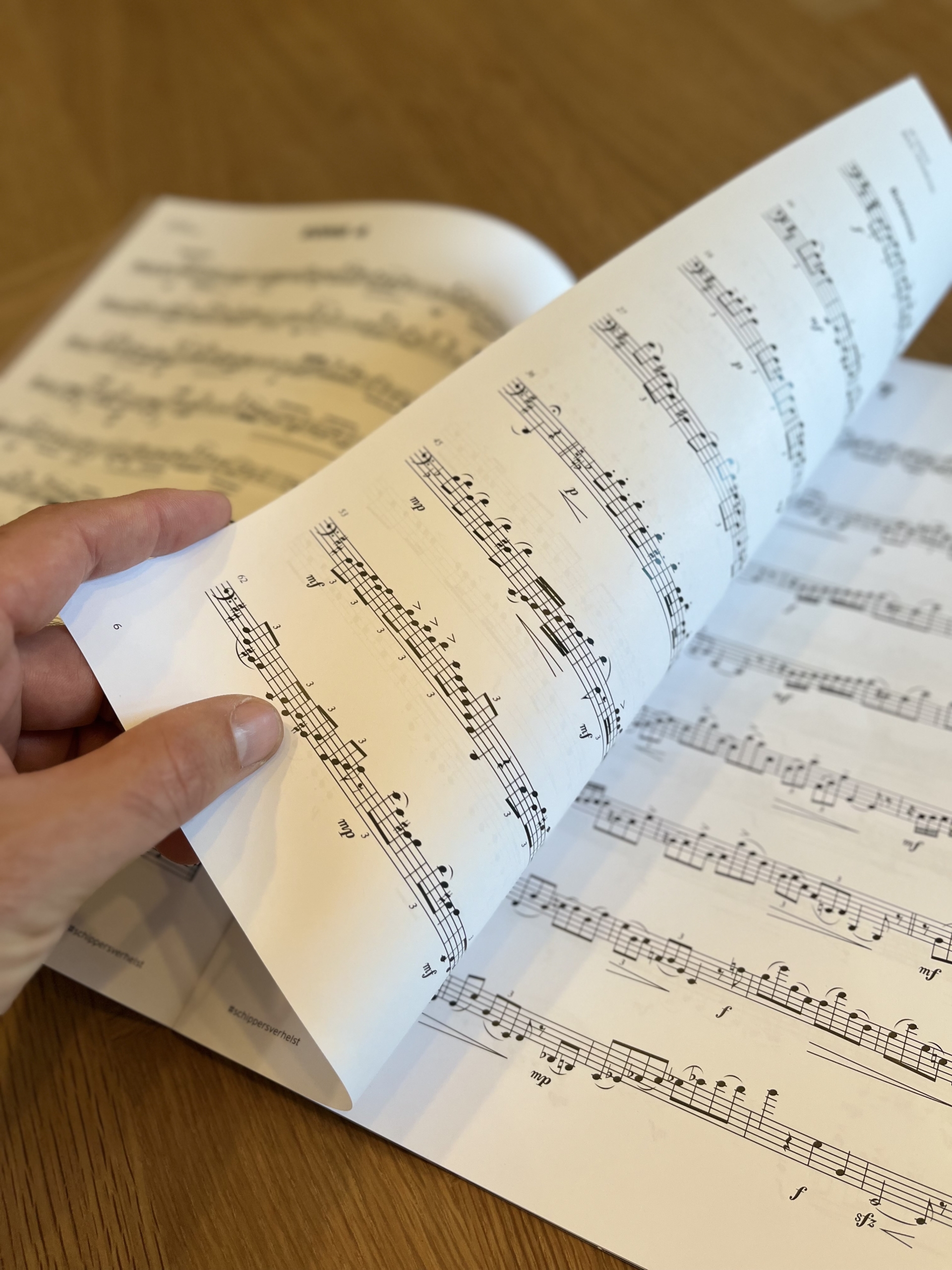 30 SONGS – Steven Verhelst